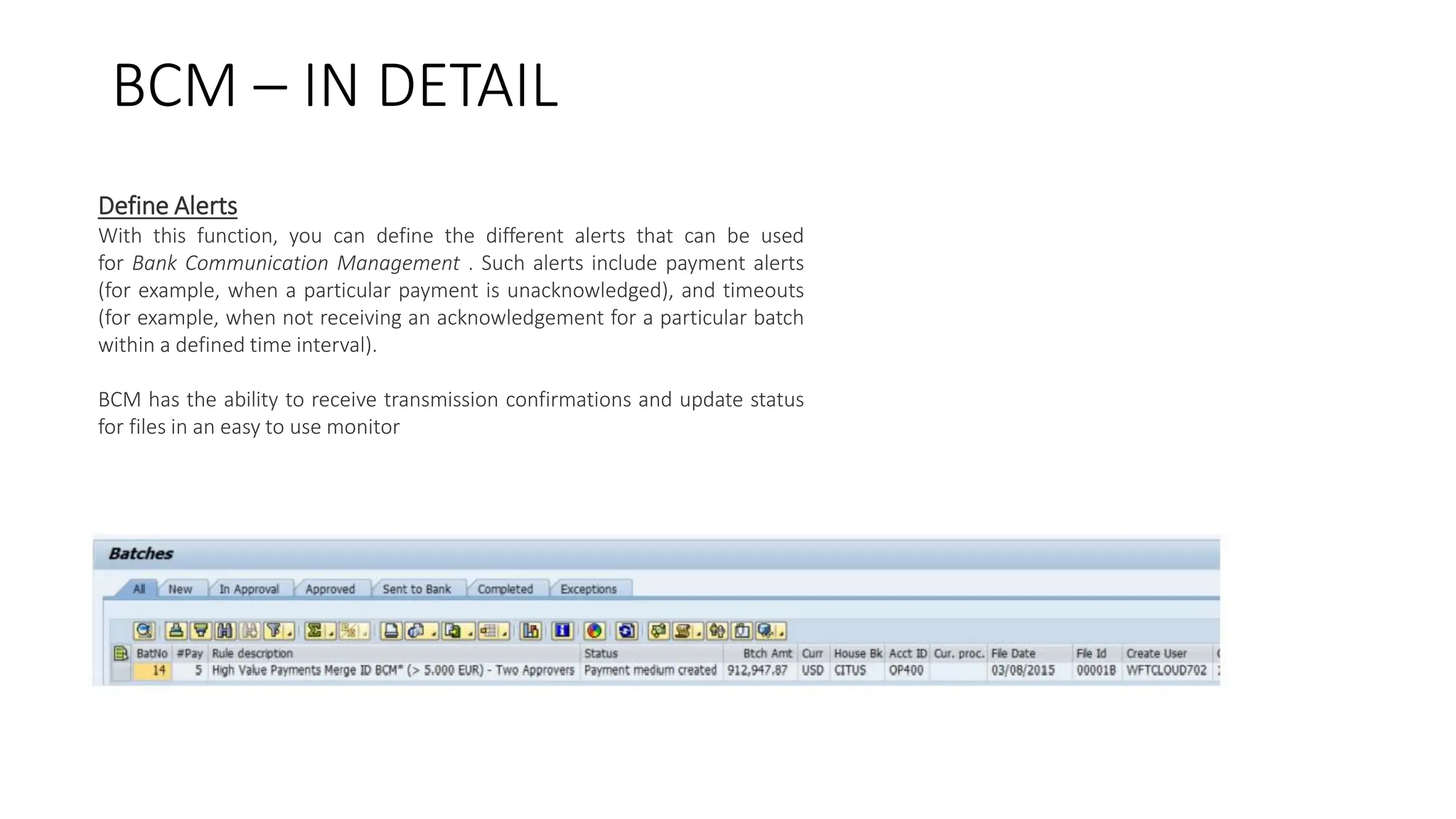 SAP FSCM Treasury Bank Communication Management-1.pdf