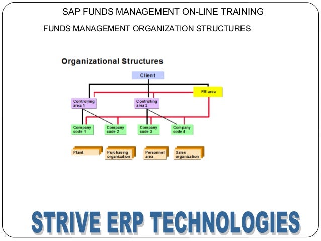 Sap funds management online training