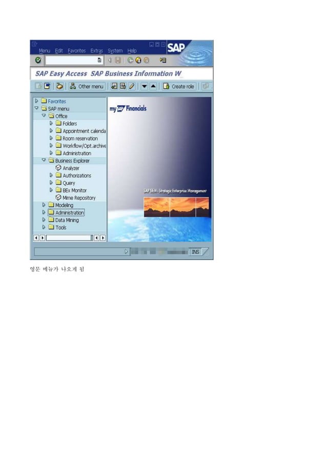 SAP GUI 언어 설정 바꾸기 | DOCX