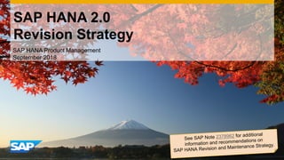 SAP_HANA_strategy.pdf learn about sap ha | PPT