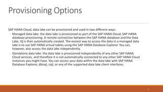 SAP HANA Cloud Data Lake.pdf
