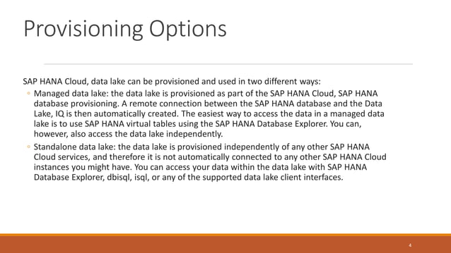 SAP HANA Cloud Data Lake.pdf
