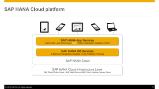 SAP HANA Cloud Portal - Overview Presentation | PDF