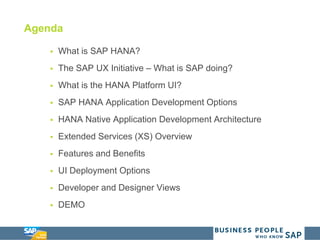 SAP HANA Native Application Development | PDF