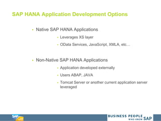 SAP HANA Native Application Development | PDF