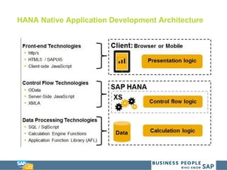 SAP HANA Native Application Development | PDF
