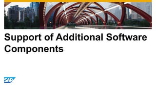 SAP HANA SPS10- SAP HANA Platform Lifecycle Management | PDF