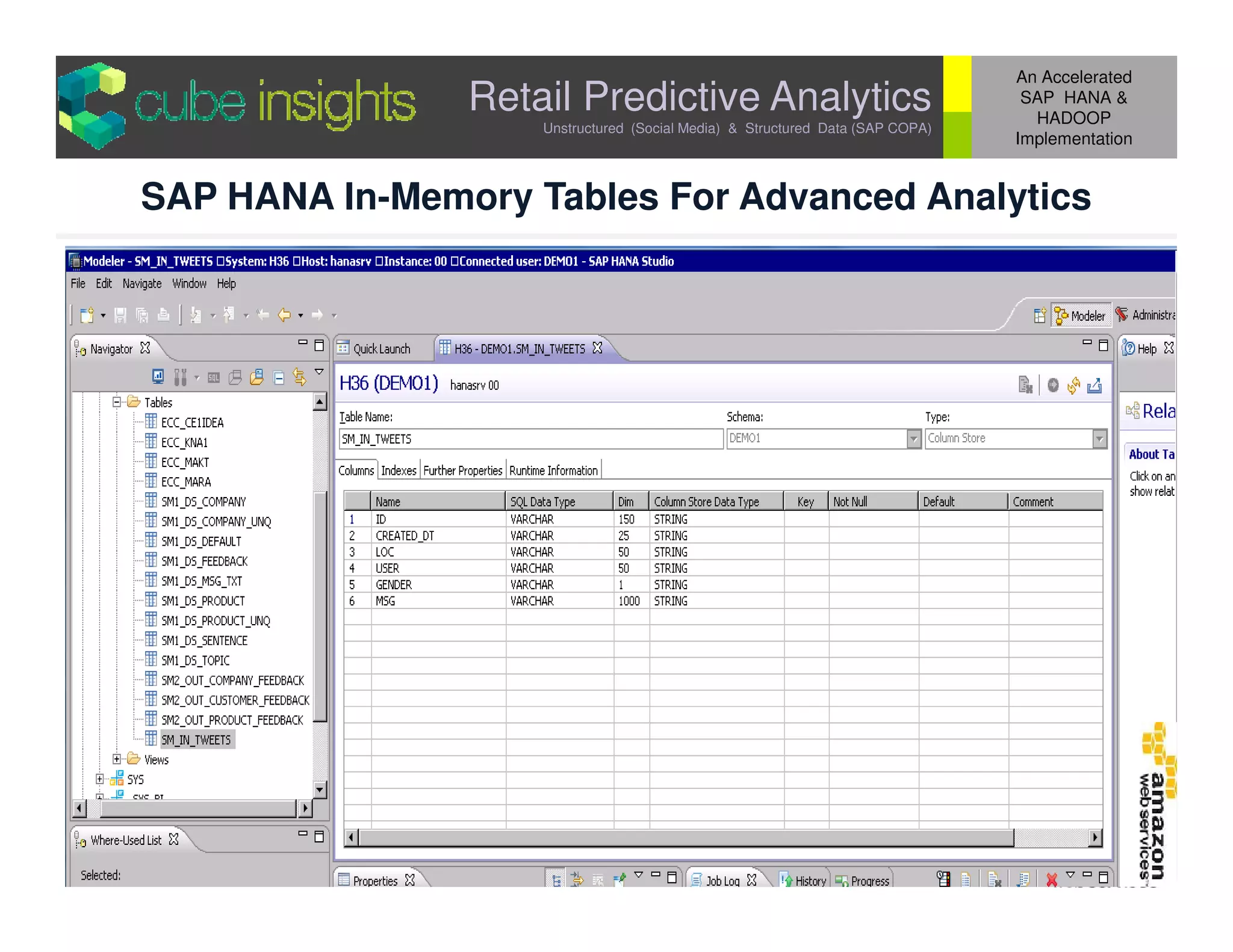 SAP HANA Retail RDS - Social Media & COPA - Advanced Analytics | PDF