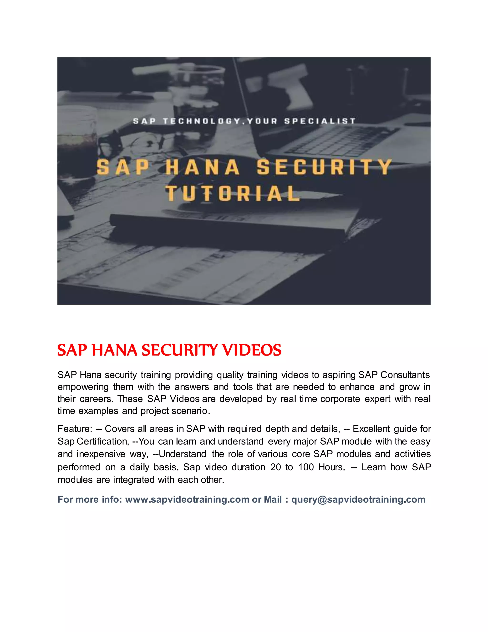 SAP HANA SECURITY | PDF