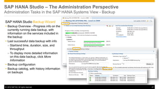 Sap hana studio_overview | PDF | Databases | Computer Software and ...