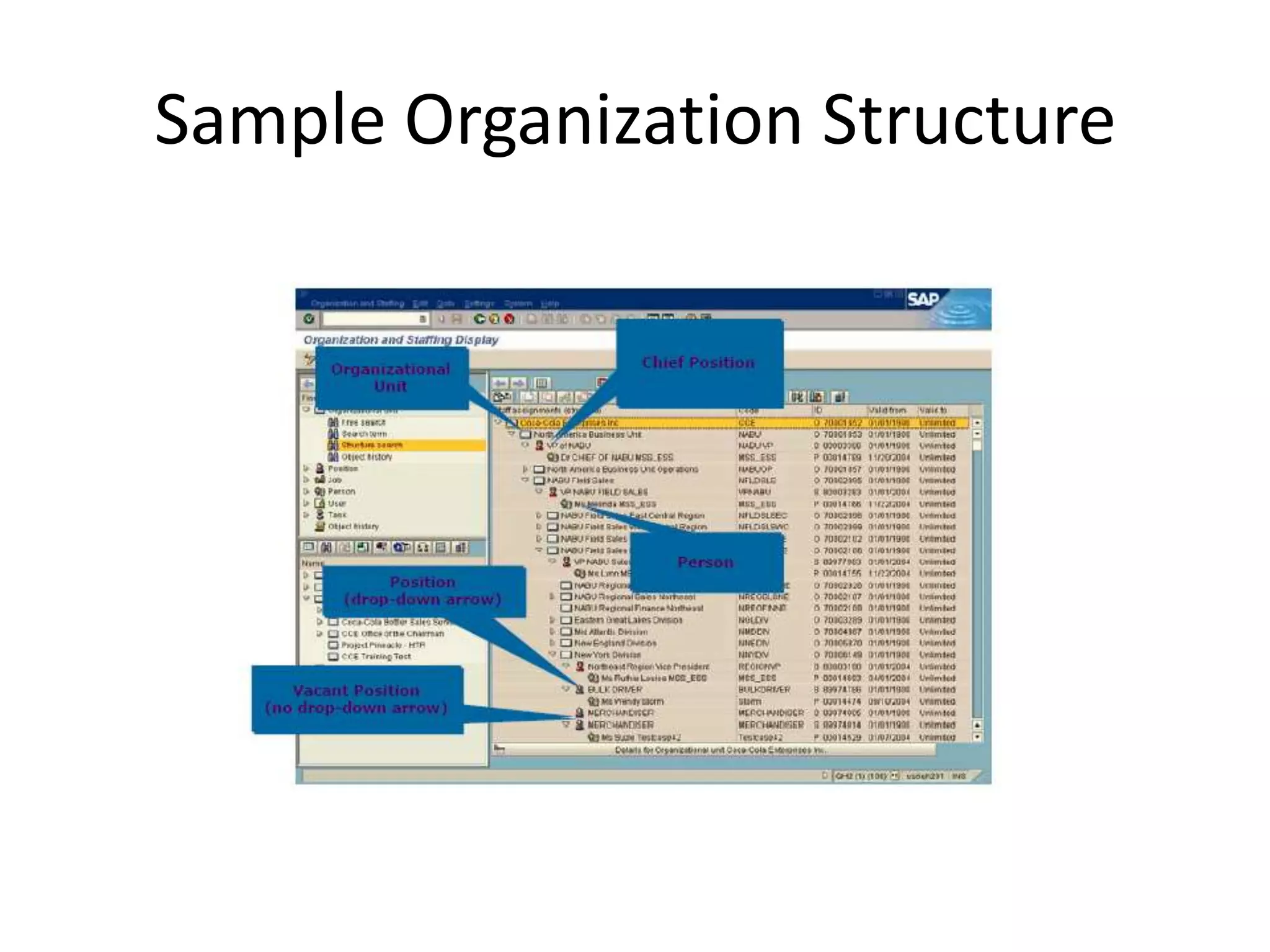 SAP HCM - OM PRESENTATION | PPTX