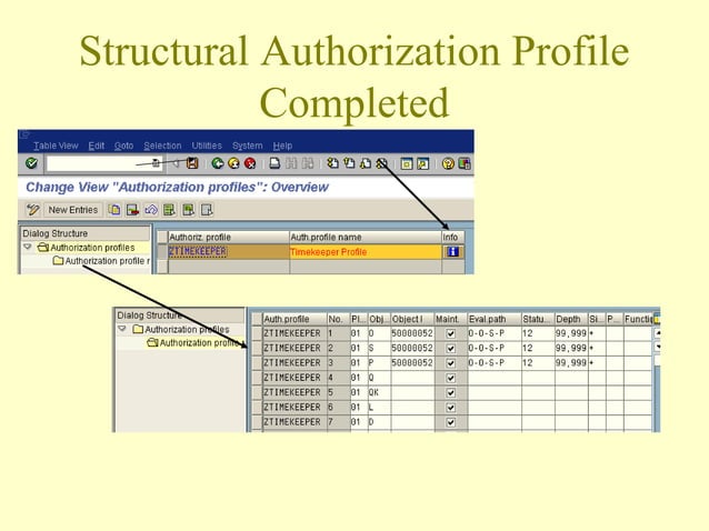 Sap Hcm Structural Authorization Overview Presentation Ppt
