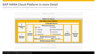 SAP HANA Cloud Platform - Overview | PDF