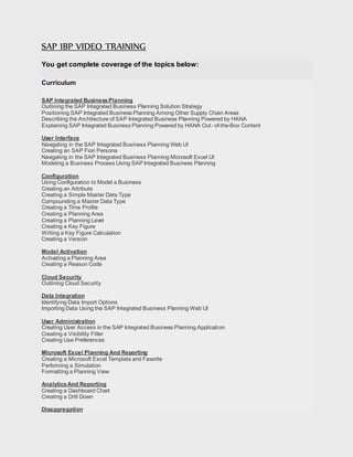 SAP IBP | DOCX | Computing | Technology & Computing