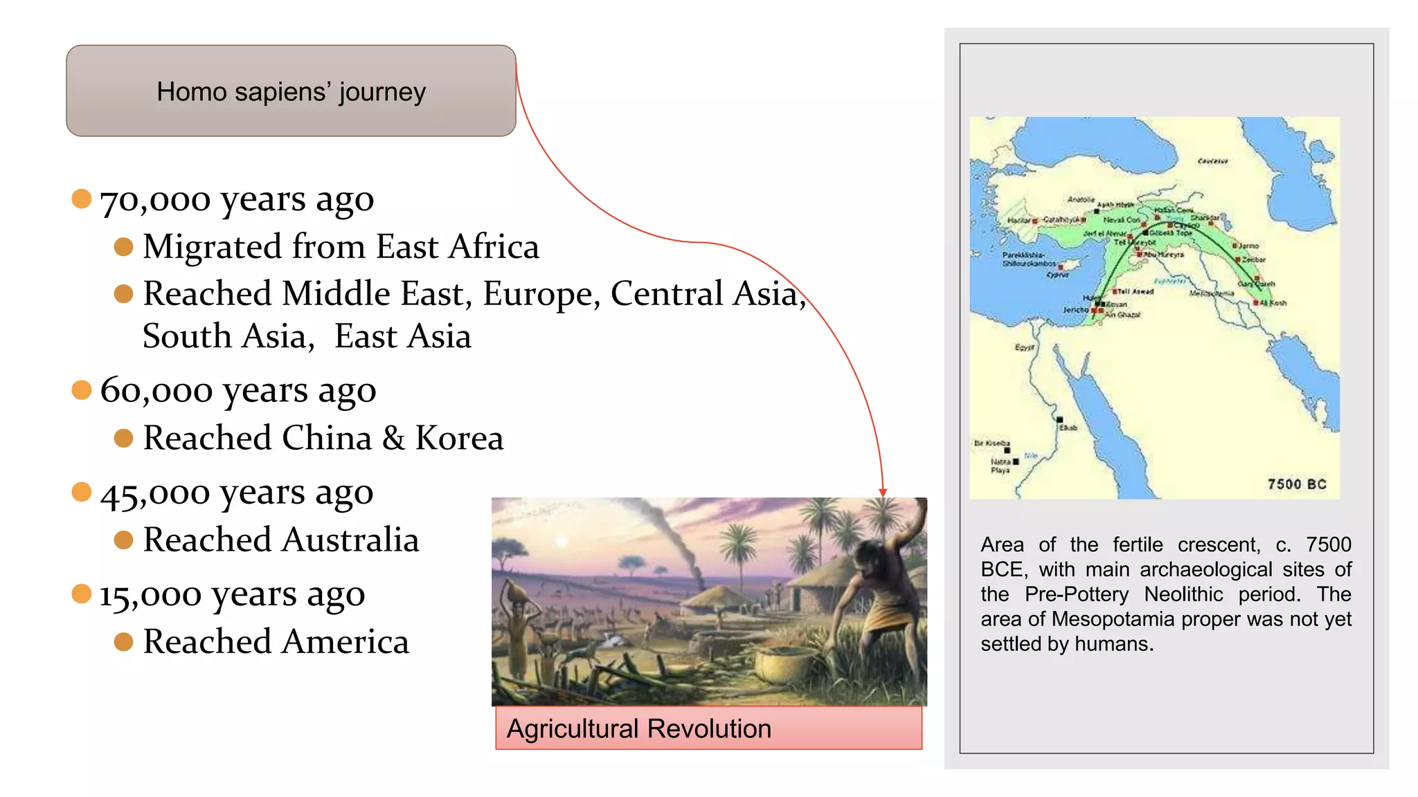Sapiens- A Brief History of Humankind | PPTX