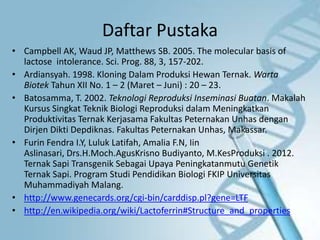 Sapi herman transgenik | PPTX