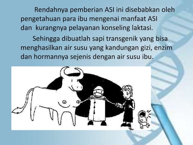 Sapi herman transgenik | PPTX