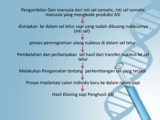 Sapi herman transgenik | PPT