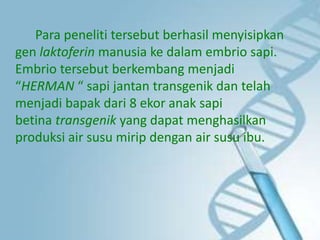 Sapi herman transgenik | PPTX