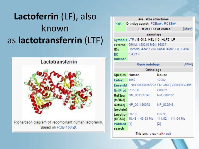Sapi herman transgenik | PPTX