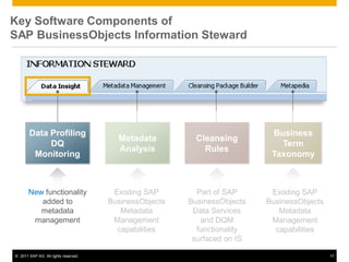 Sap information steward | PDF