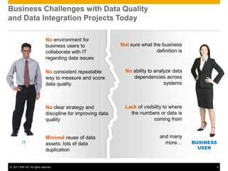Sap information steward | PDF