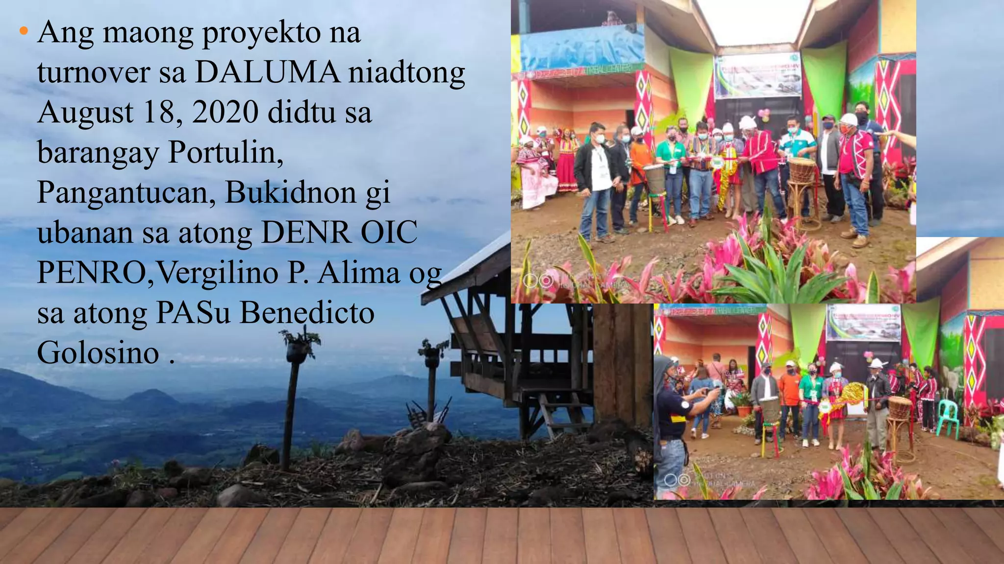 Sapinit view deck.pptx