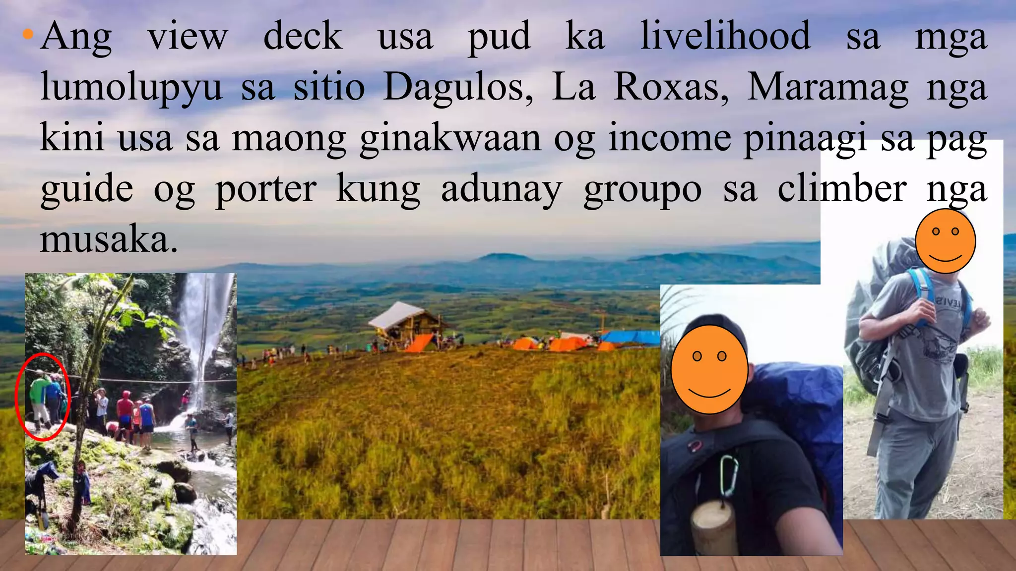 Sapinit view deck.pptx