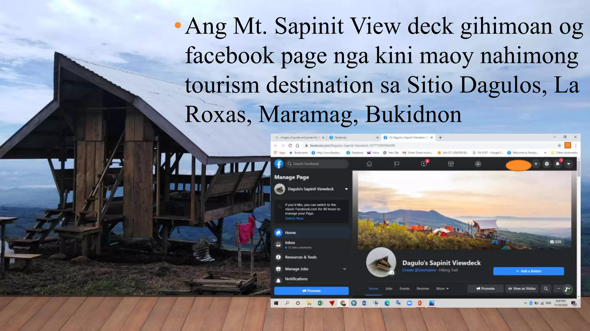 Sapinit view deck.pptx