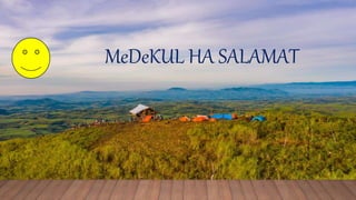 Sapinit view deck.pptx