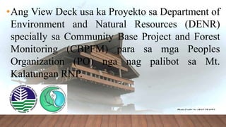 Sapinit view deck.pptx