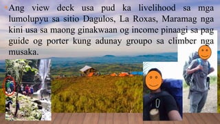 Sapinit view deck.pptx