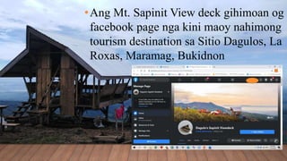 Sapinit view deck.pptx