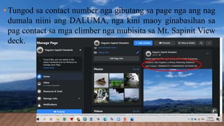 Sapinit view deck.pptx