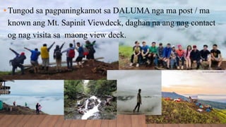 Sapinit view deck.pptx