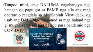 Sapinit view deck.pptx