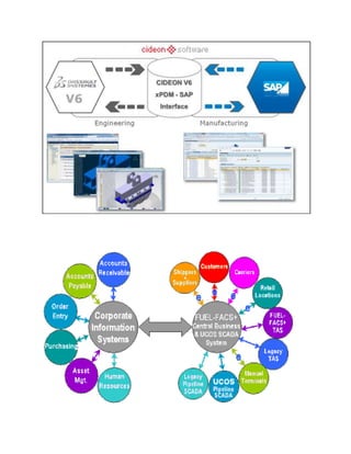 Sap interface overview | DOCX