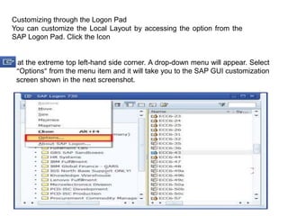 SAP INTRODUCTION.pptx