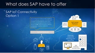 SAP and The Internet of Things | PDF | Internet | Computing
