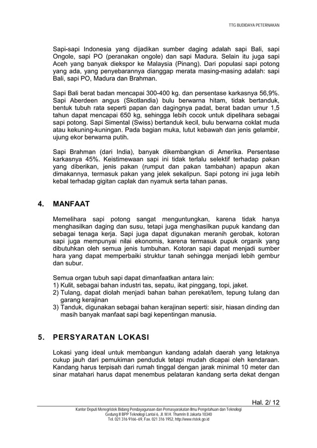 Sapi potong | PDF