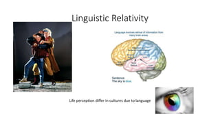 Trinh Nguyen Sapir-Whorf Hypothesis | PPTX