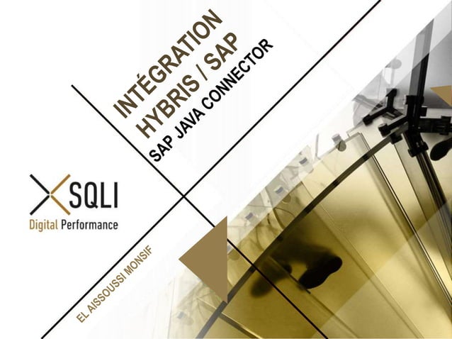 Sap java connector / Hybris RFC | PPTX | Programming Languages | Computing