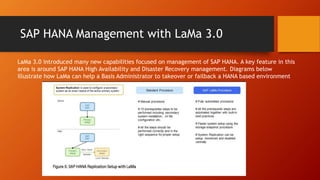 Sap lama presentation | PPTX
