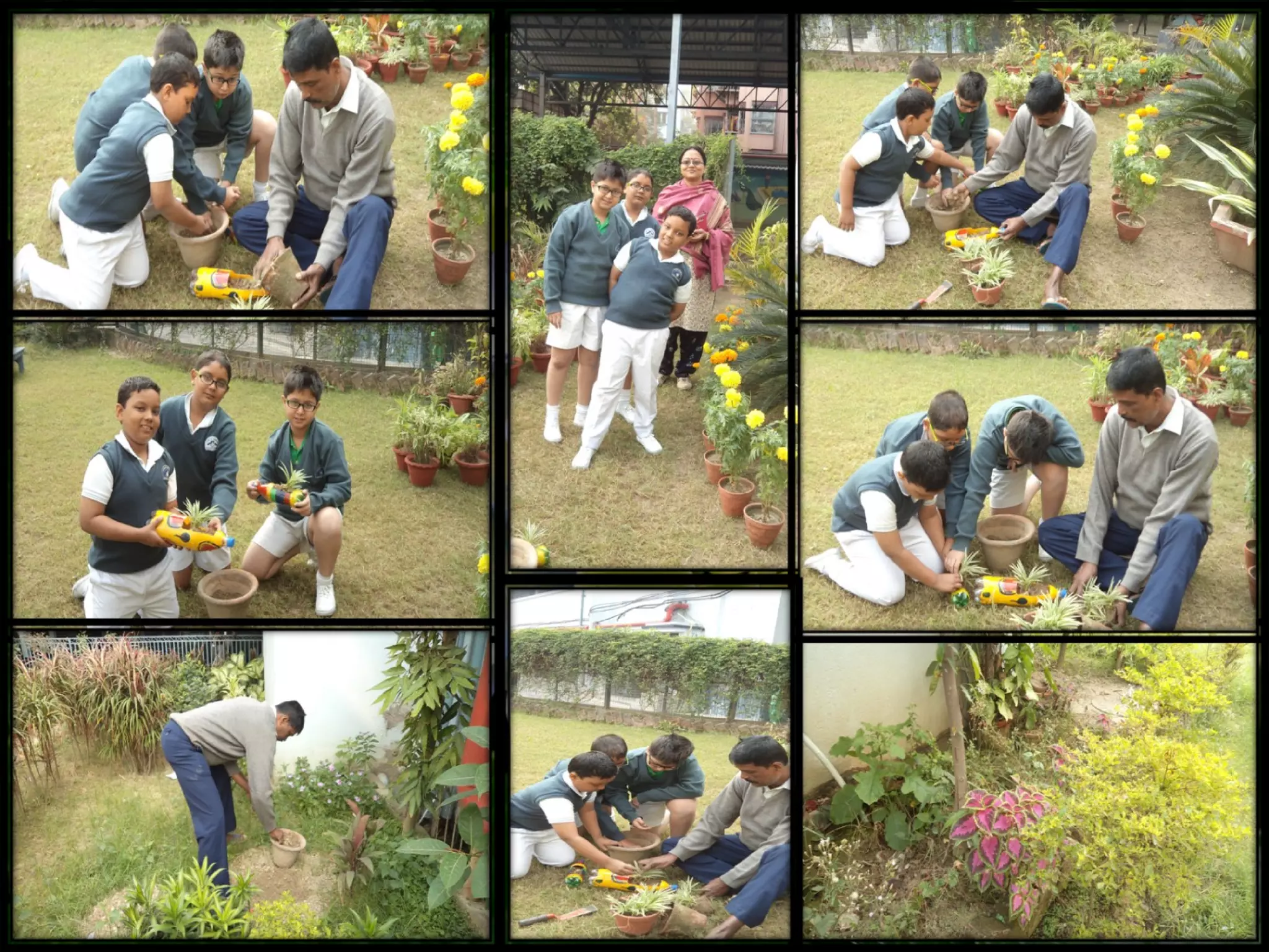 Sapling Planting ISA Activity - "Paint it Green" | PPT