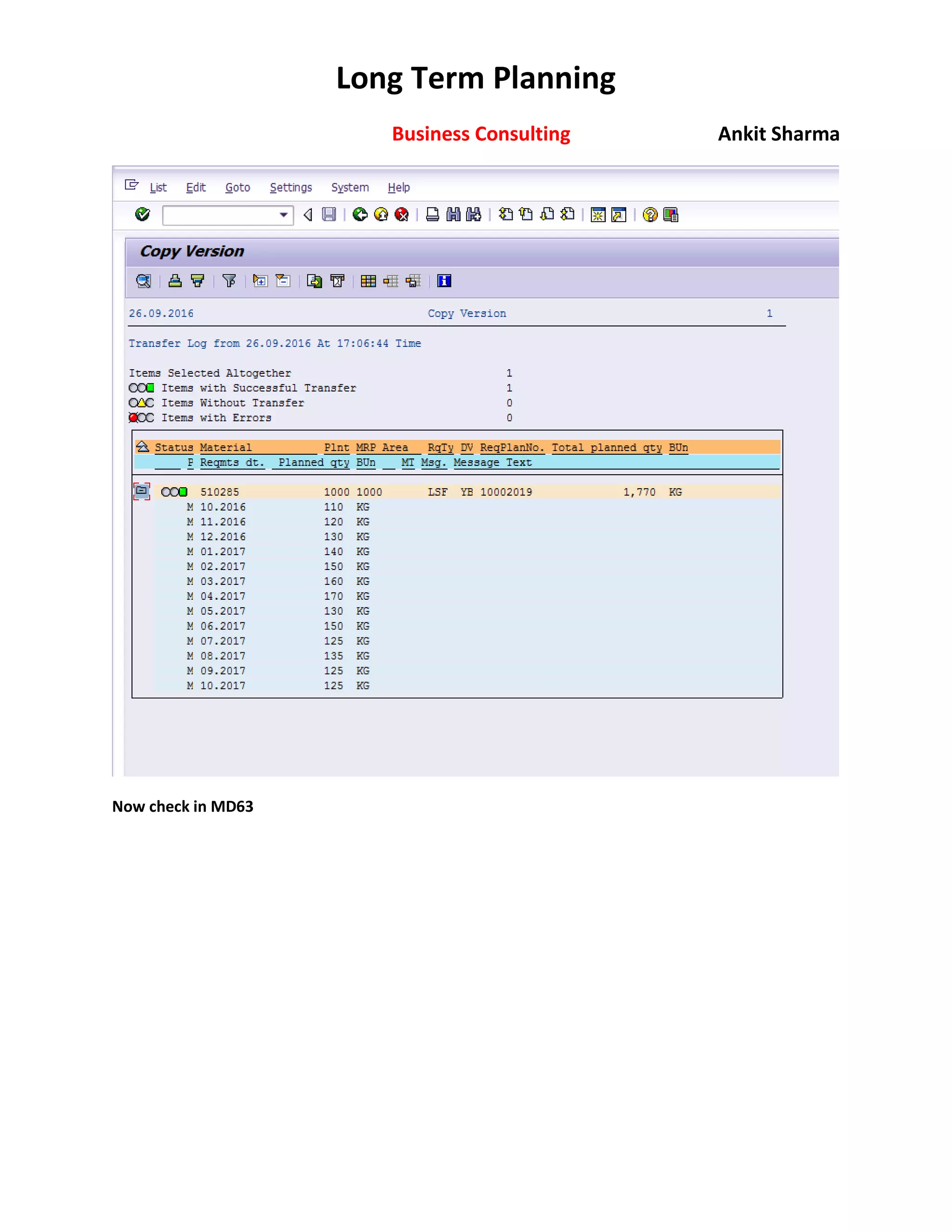 SAP Long Term PLANNING | PDF