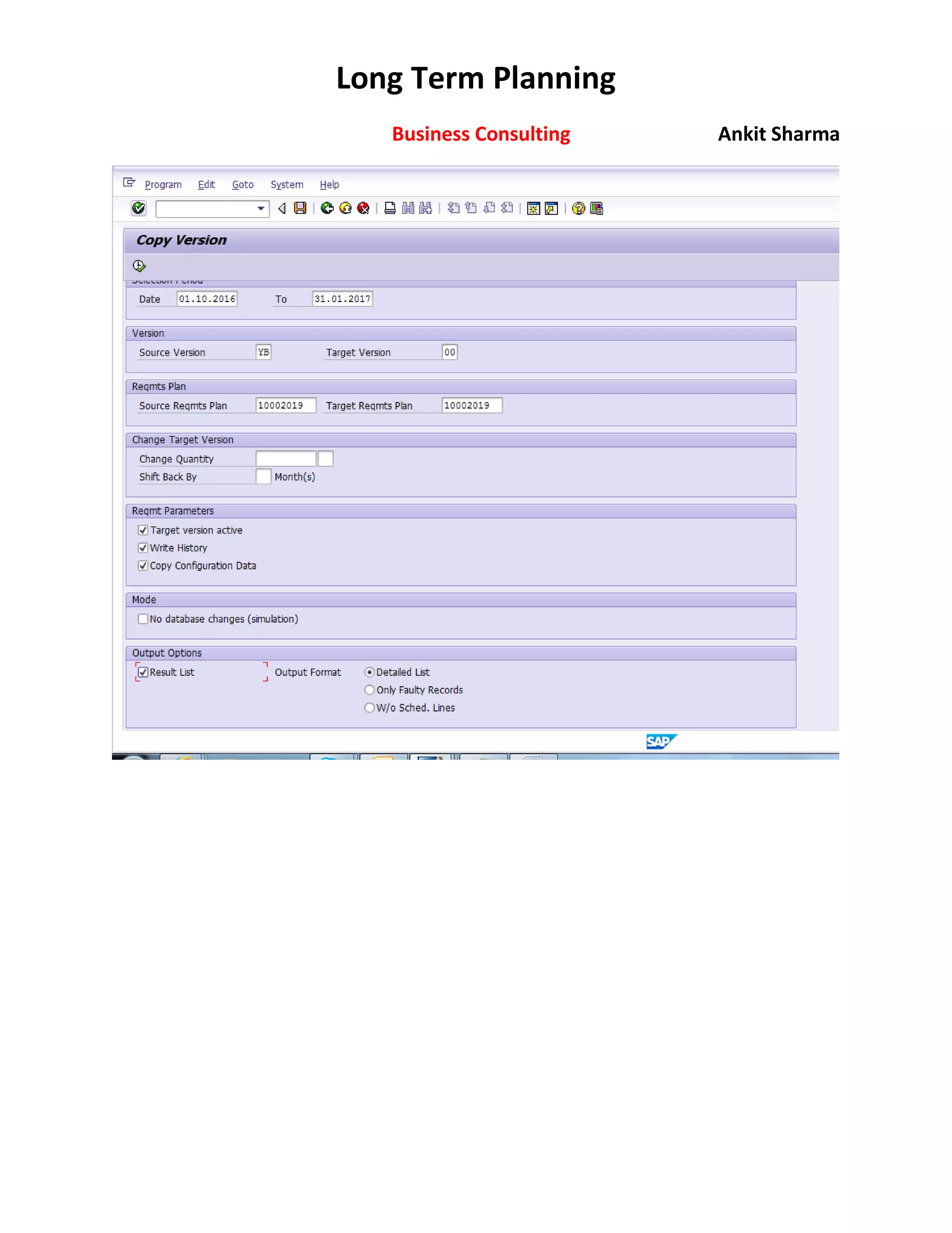 SAP Long Term PLANNING | PDF
