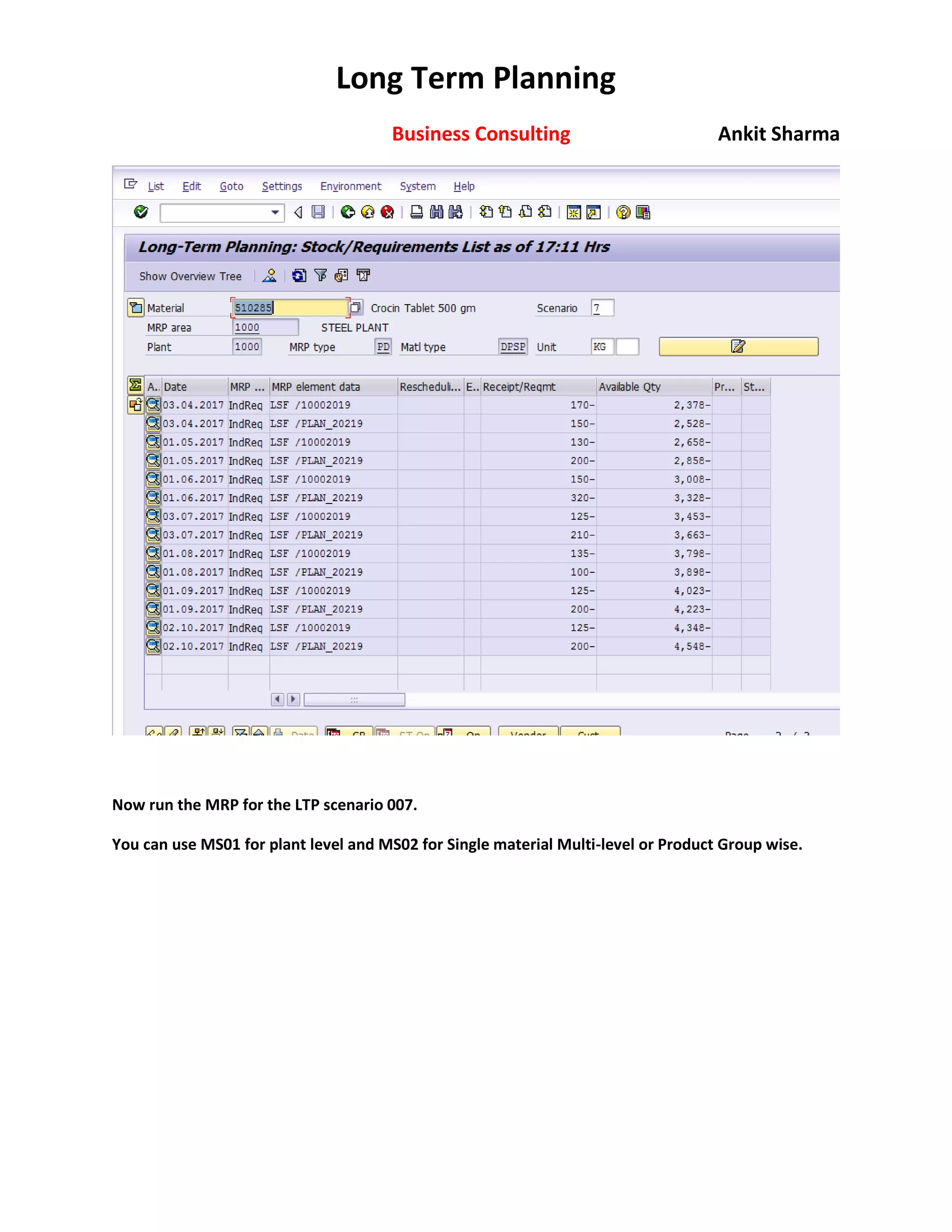 SAP Long Term PLANNING | PDF