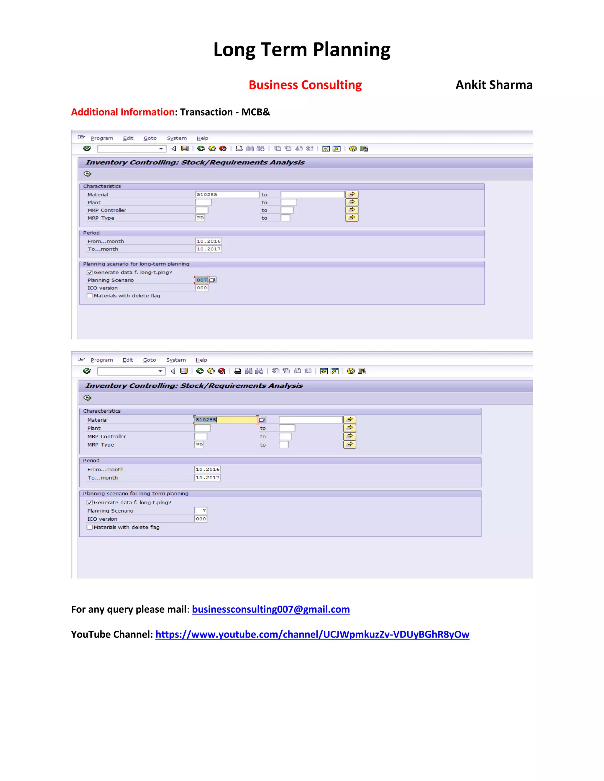 SAP Long Term PLANNING | PDF