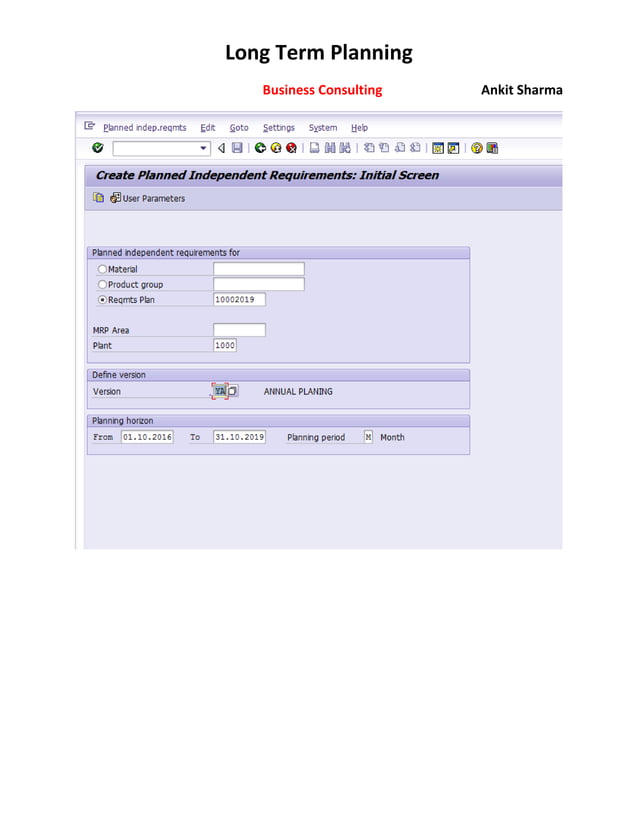 SAP Long Term PLANNING | PDF