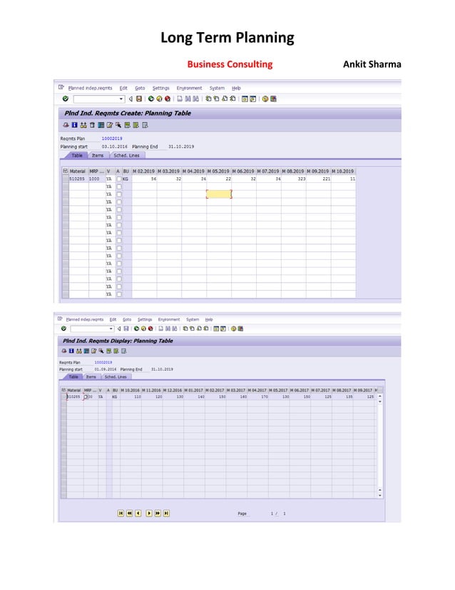 SAP Long Term PLANNING | PDF
